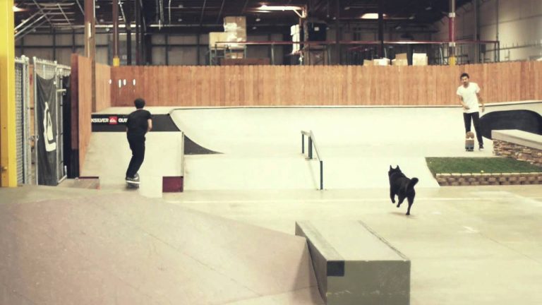 AUSTYN GILLETTE AT DOOR 33 | VHSMAG