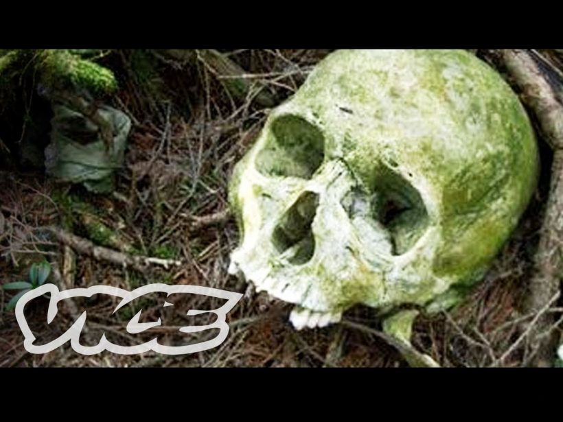 Suicide Forest in Japan | VHSMAG